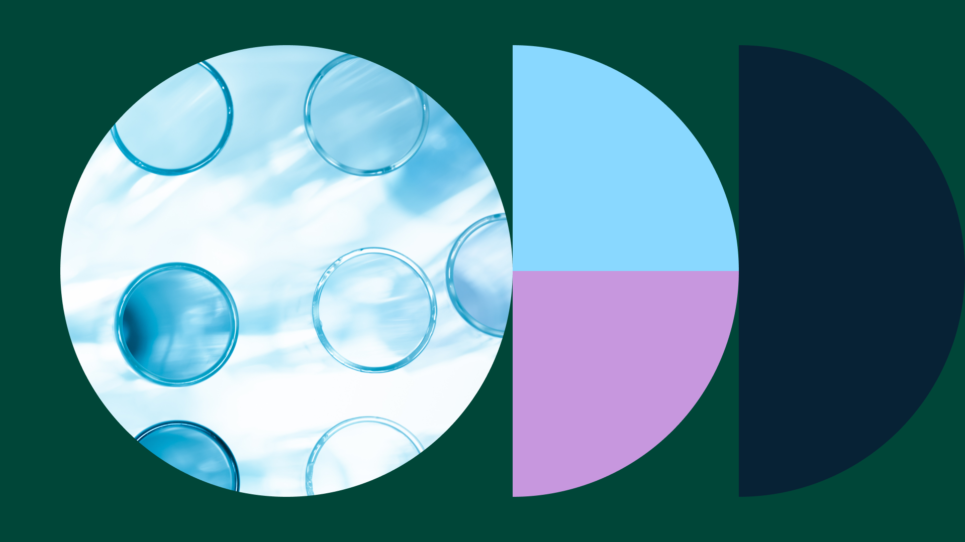 Assessment of HCP and medical affairs portals: Strategies for pharma ...